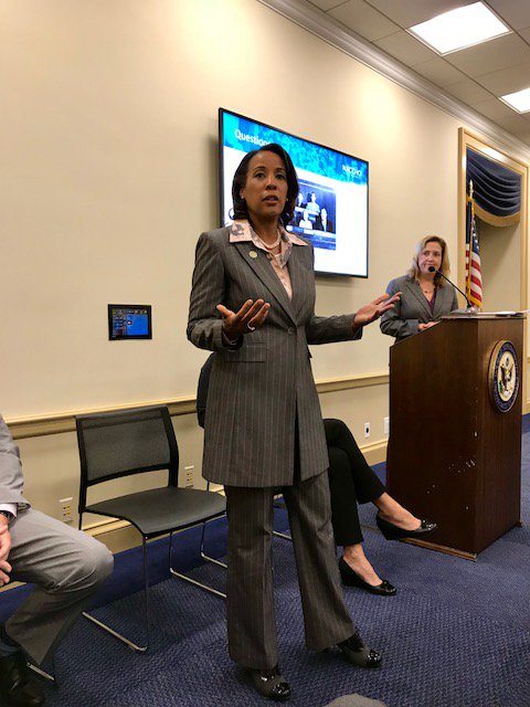 Loudoun County Chair Phyllis J. Randall Speaks at Congressional ...